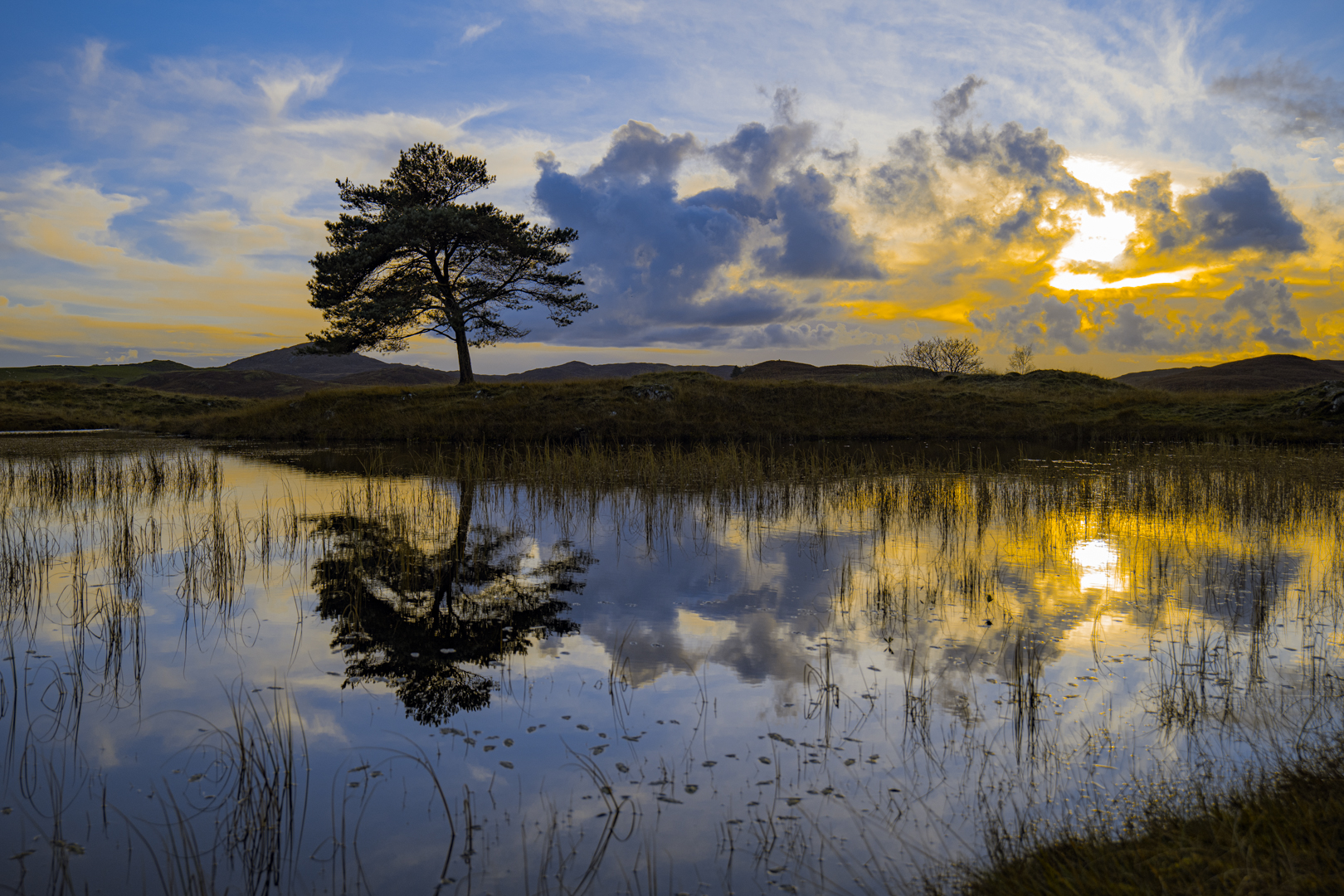 Members Galleries – Corley Fillongley Photo Club