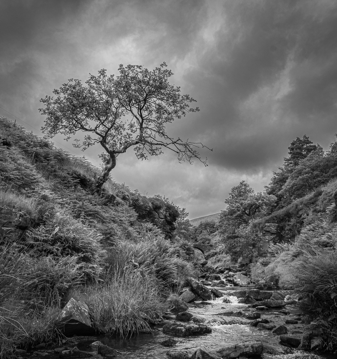 Members Galleries – Corley Fillongley Photo Club