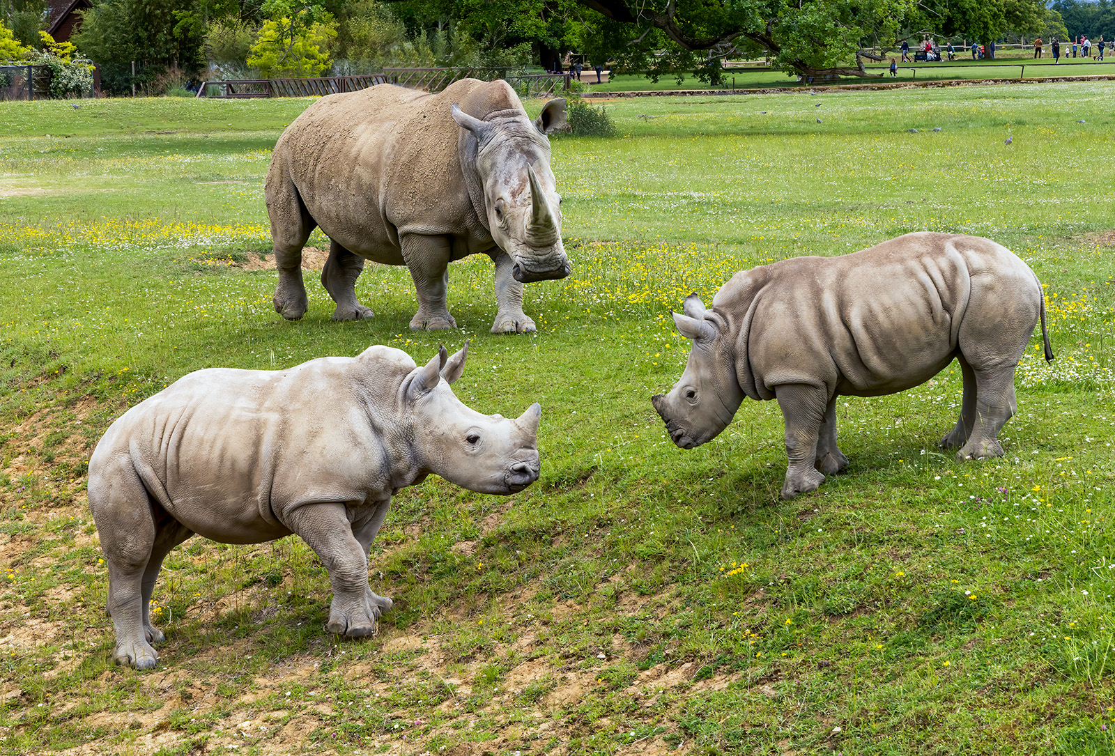 AGM Print – Corley Fillongley Photo Club